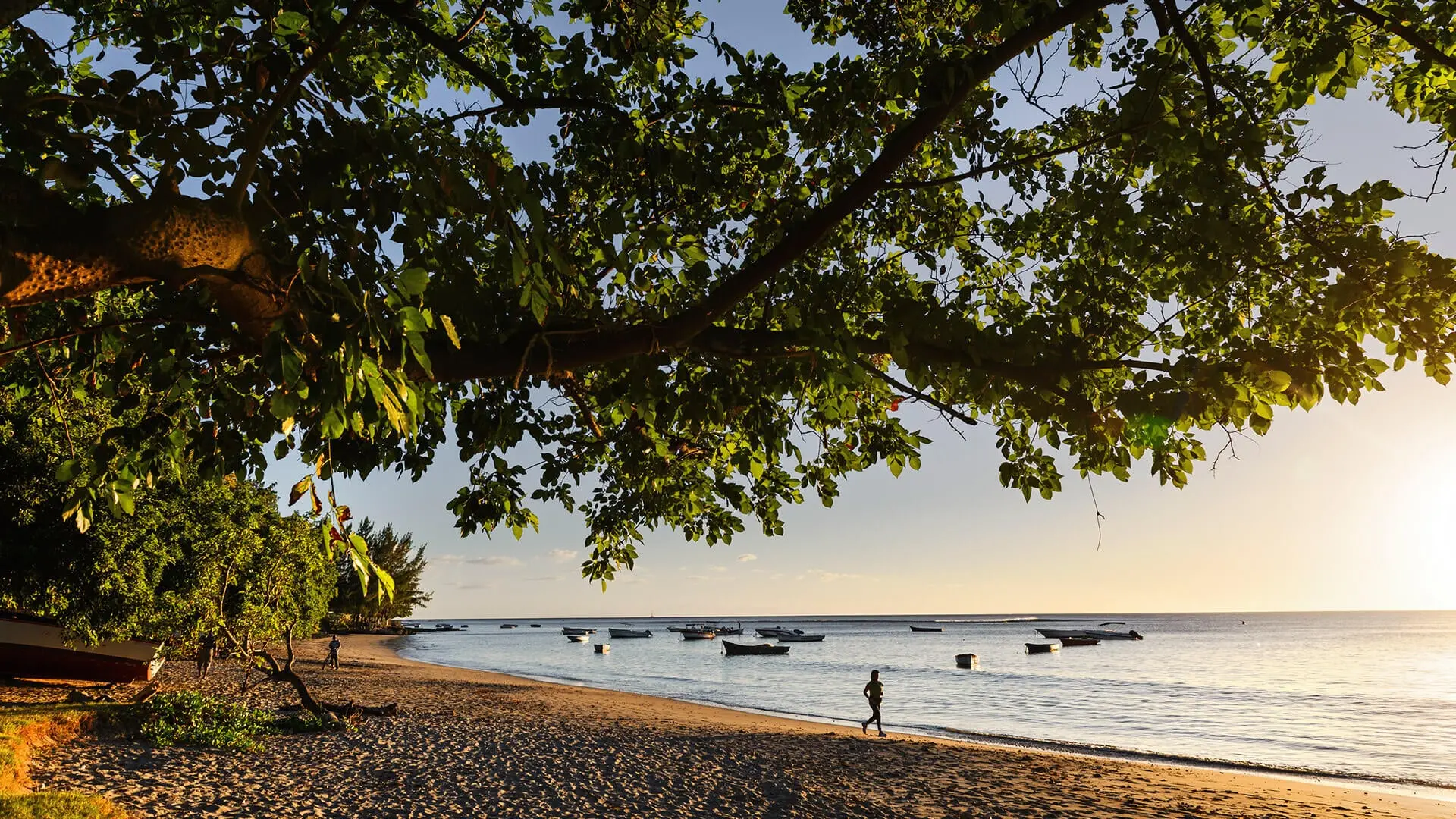 Things to Do in Tamarin Bay | Veranda Tamarin Hotel Activities